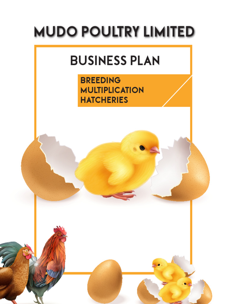 FINAL DRAFT MUDO BUSINESS PLAN - Compressed | PDF | Poultry Farming ...