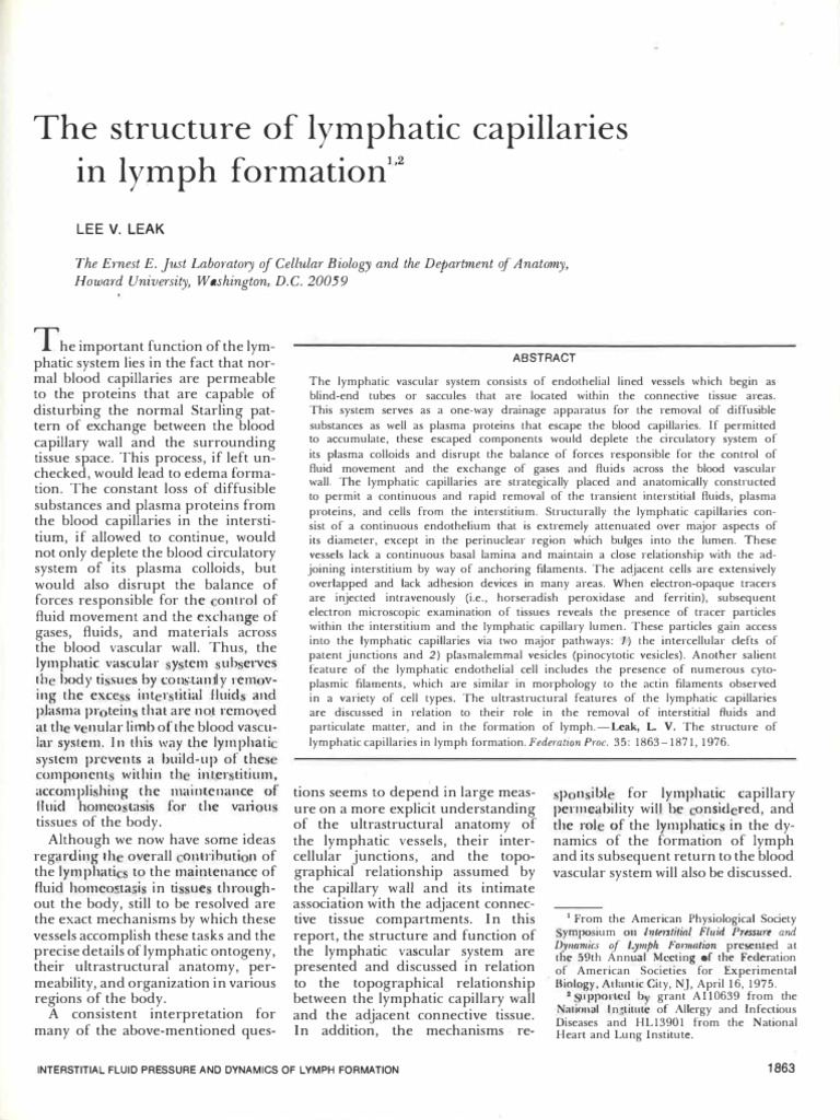 Leak 1976 - The Structure of Lymphatic Capillaries in Lymph Formation ...