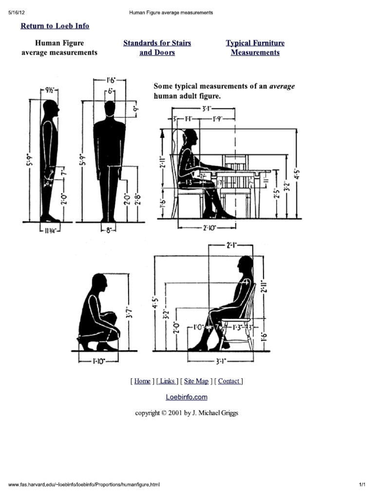 Print - Human Figure Average Measurements | PDF