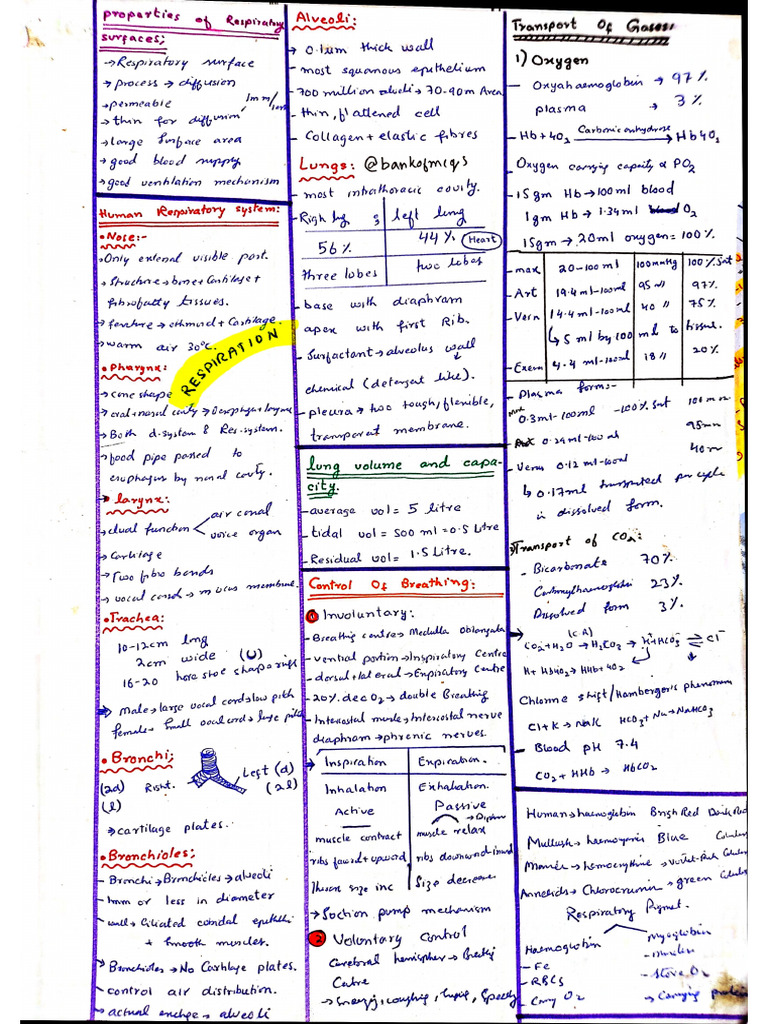 BOM 2nd Year BIO Notes | PDF
