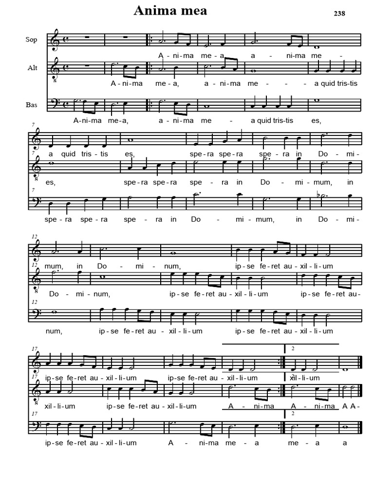 238 Anima Mea F | PDF