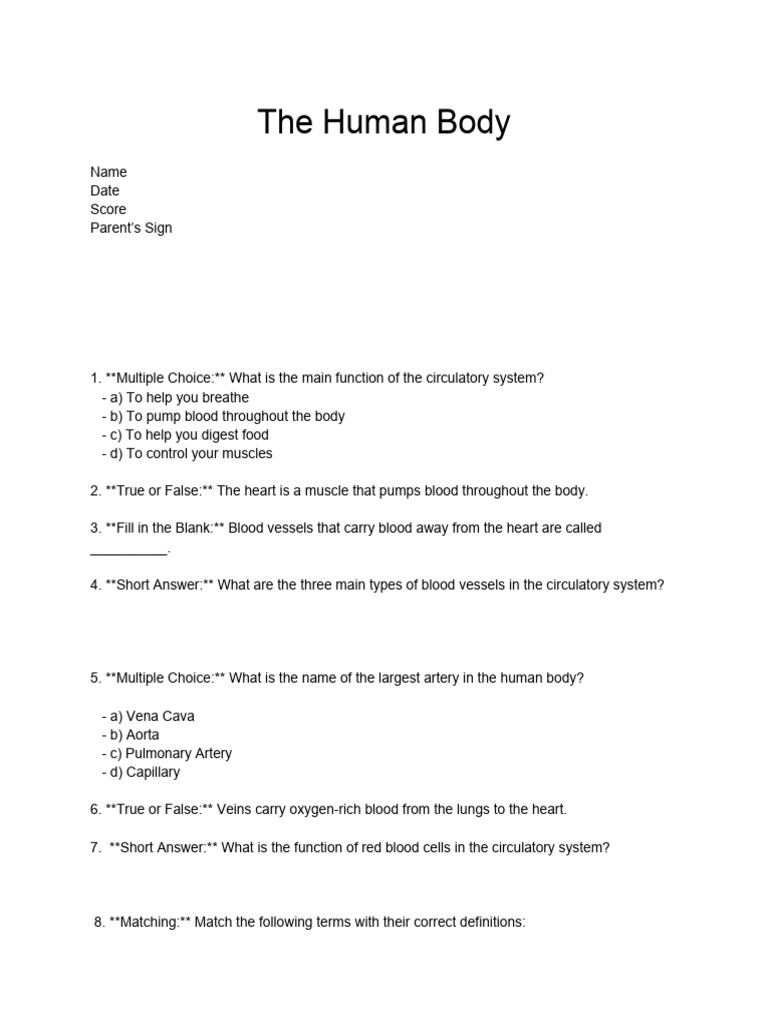 Grade 5 Human Body Quiz Worksheet | PDF | Blood Vessel | Artery
