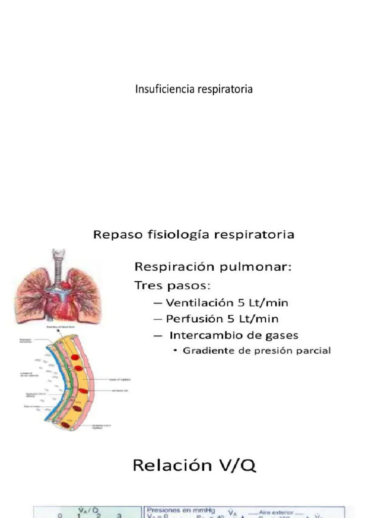 Fisiopato II - Insuficiencia Resp | PDF