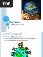 Student Worksheet BiomeViewer | PDF | Tropics | Forests