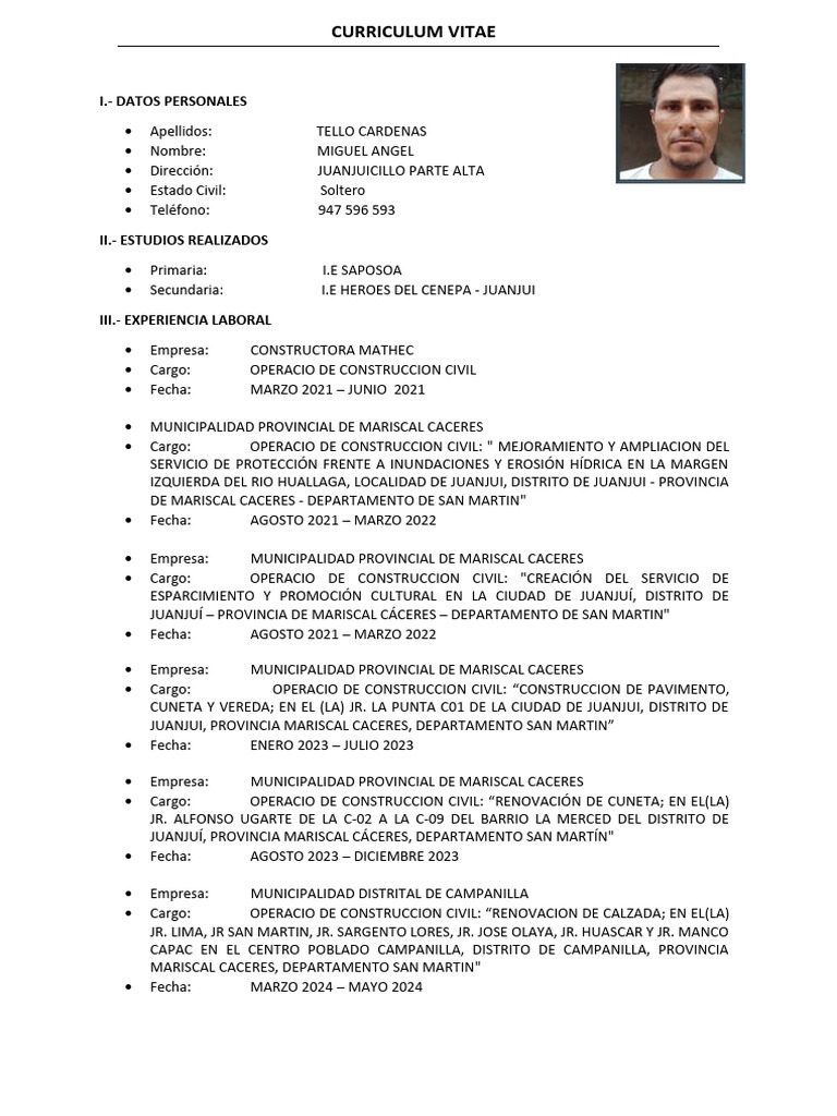 CV Miguel Obra | PDF