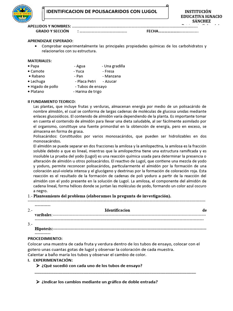 Experimento de Almidón con Lugol | PDF | Almidón | Polisacárido