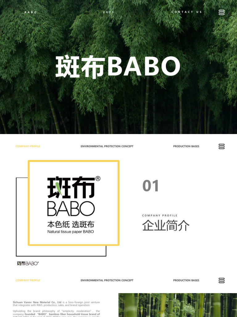Babo Overiew Profile - 230725 - 101449 | PDF | Supply Chain | Brand