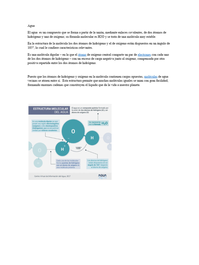 Estructura y Propiedades del Agua | PDF