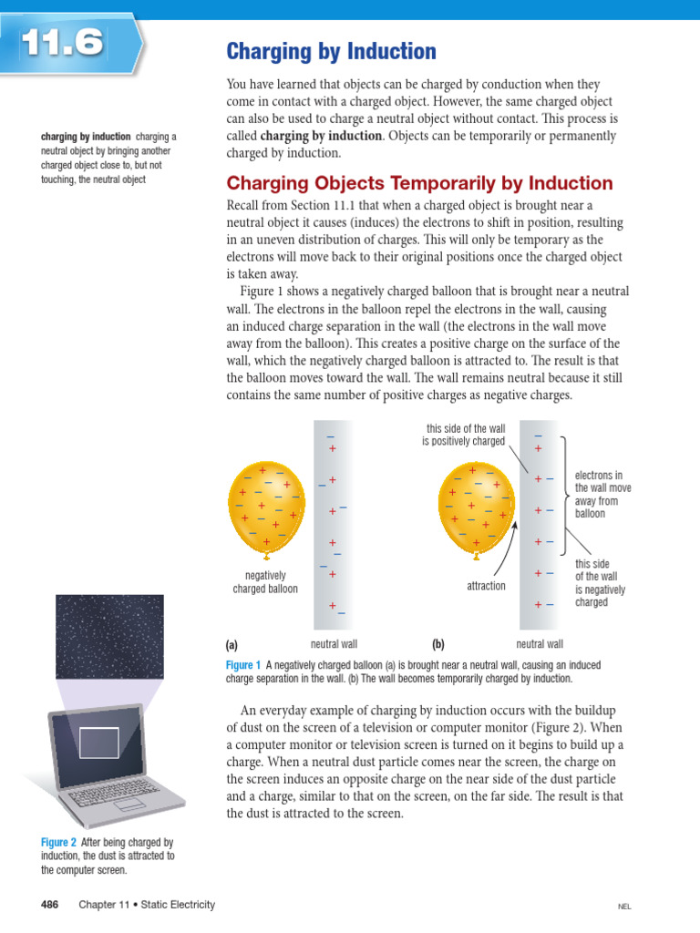 Charging by Induction | PDF | Loudspeaker | Electric Charge