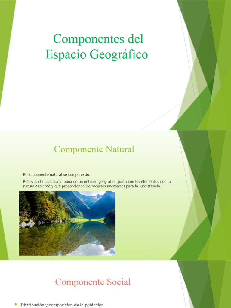 Componentes Real | PDF | Geografía | Naturaleza
