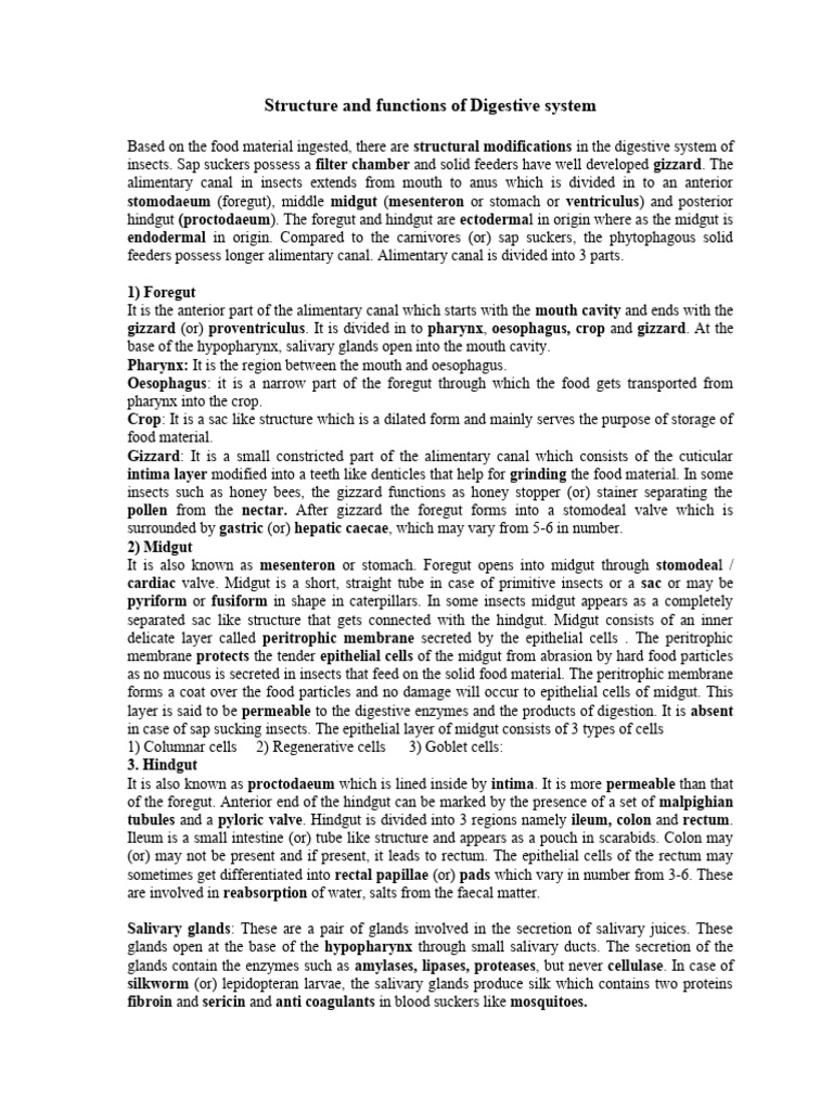 Structure and Function of Digestive System | PDF | Digestion ...