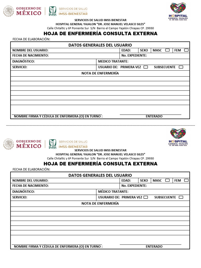 Hoja de Consulta Externa | PDF | Enfermería | Programas sociales