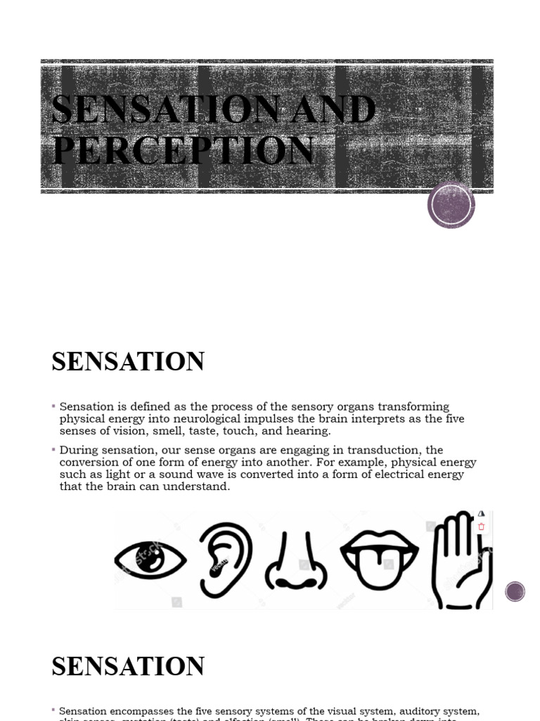 Sensation, Perception, Attention | PDF | Senses | Perception