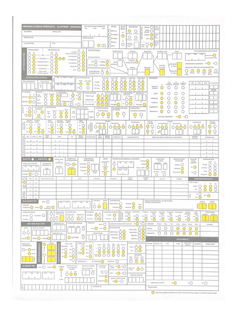 Historia Clínica y Carnet Perinatal - Clapsmr - Opsoms | PDF