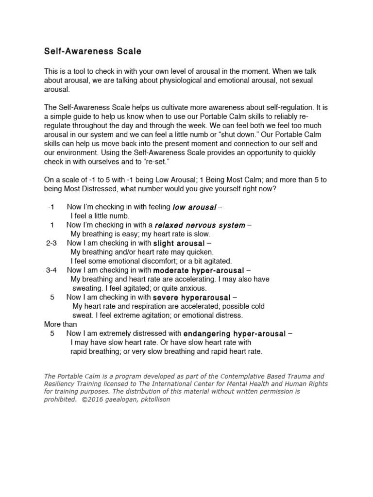 Self Awareness Scale R | PDF