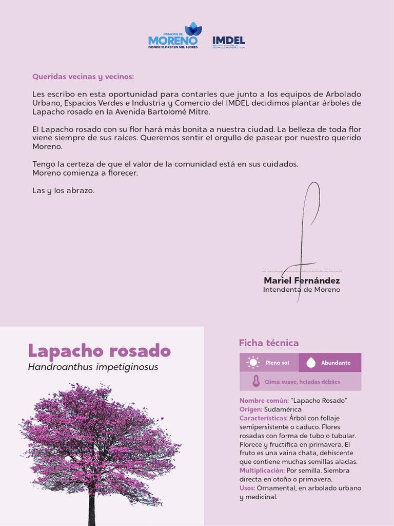 Lapacho Rosado 1 | PDF | Botánica | Plantas