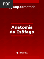 Anatomia da Região Inguinal: Estruturas e Funções | PDF | Testículo ...