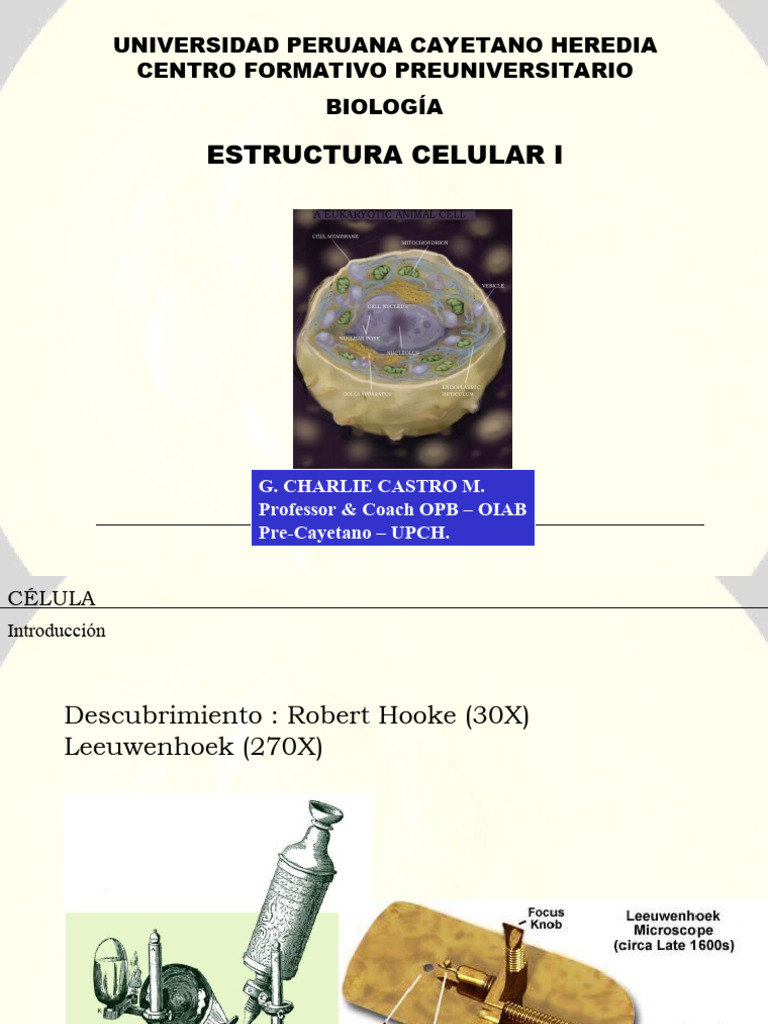 8- CELULA 1 | Descargar gratis PDF | Biología Celular) | Nucleo celular