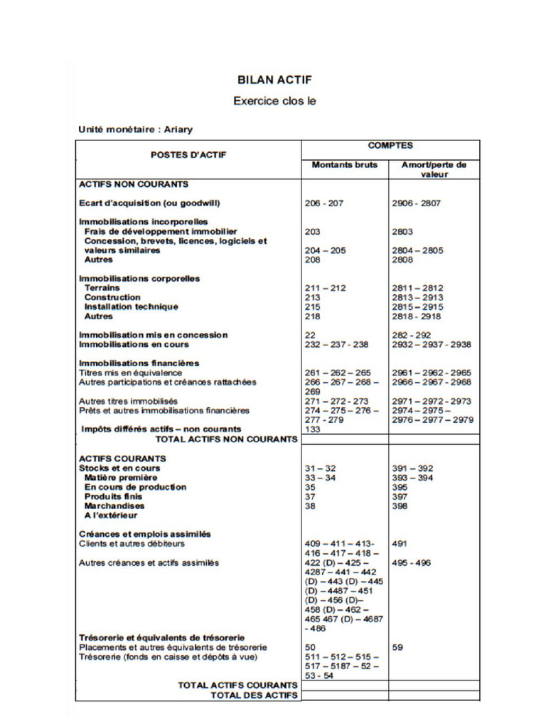 Bilan Et Compte de Resultat | PDF