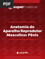 Anatomia do Ducto Deferente e Funículo Espermático | PDF | Testículo ...