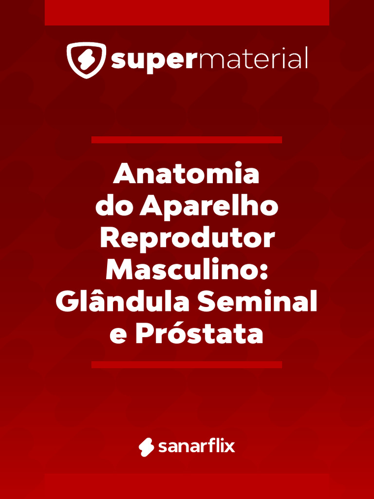 Aparelho Reprodutor Masculino (Glândula Seminal e Próstata) | PDF ...