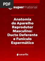 Anatomia da Região Inguinal: Estruturas e Funções | PDF | Testículo ...