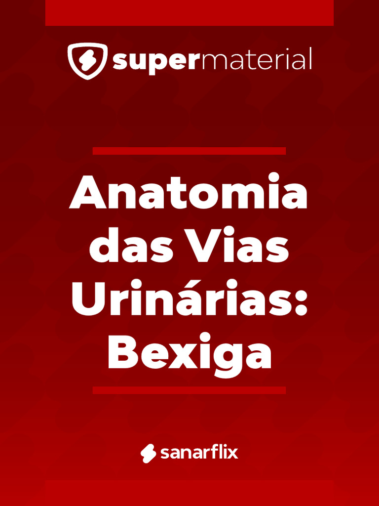 Anatomia Das Vias Urinárias (Bexiga) | PDF | Próstata | Micção