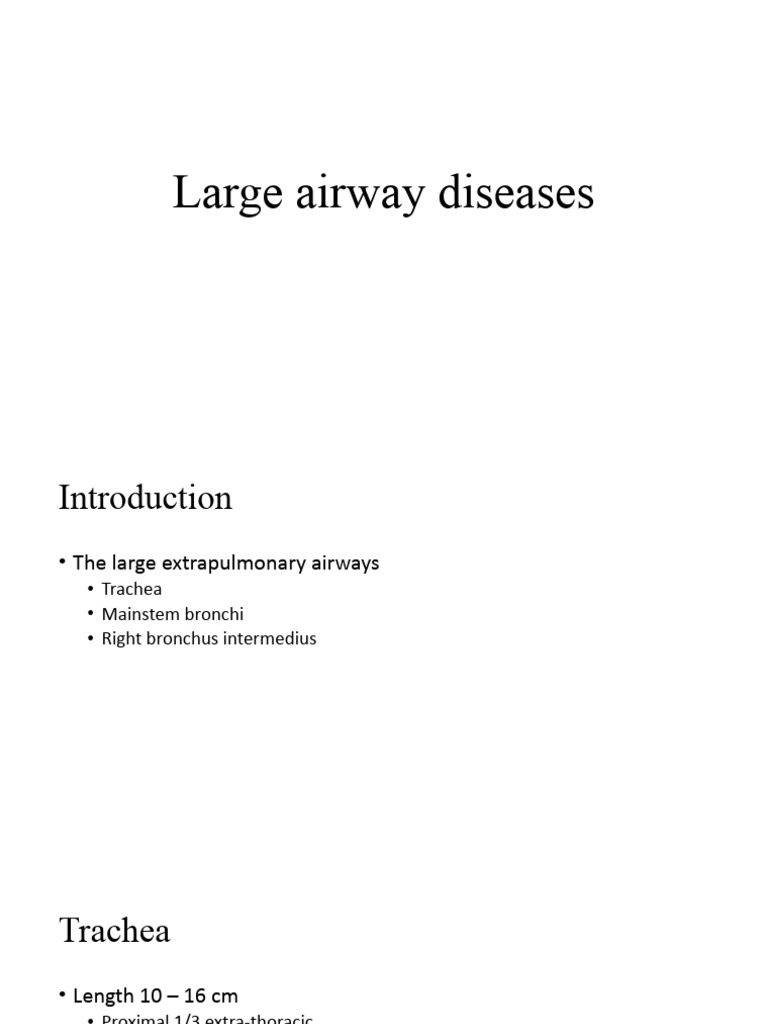Large Airway Diseases | PDF | Respiratory Tract | Esophagus