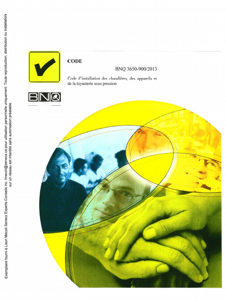 BNQ 3650-900 (2013) | PDF