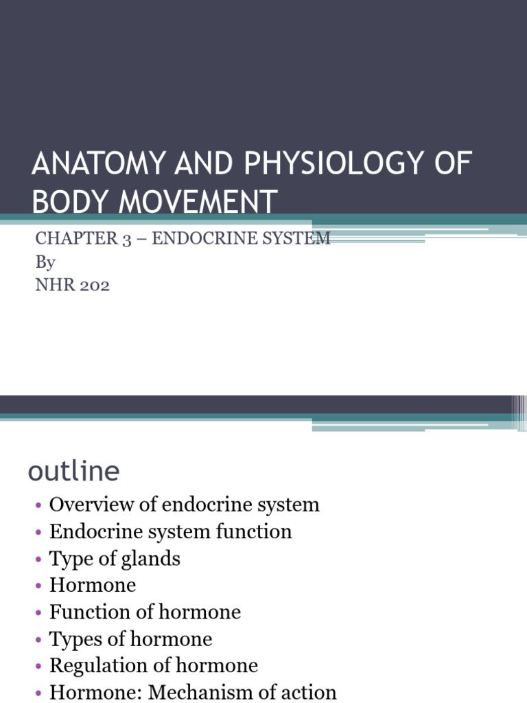Chapter 3 - Endocrine System NHR2021 | Download Free PDF | Endocrine ...