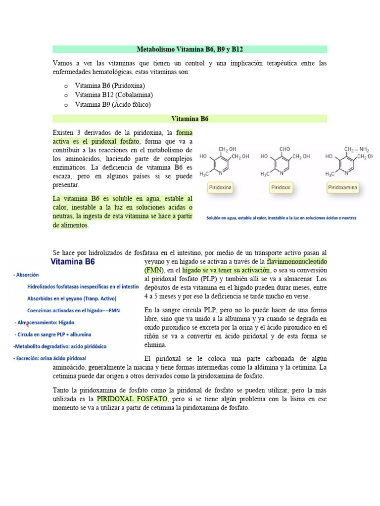 Metabolismo Vitamina B6, B9, B12 | PDF | Vitamina B12 | Metionina