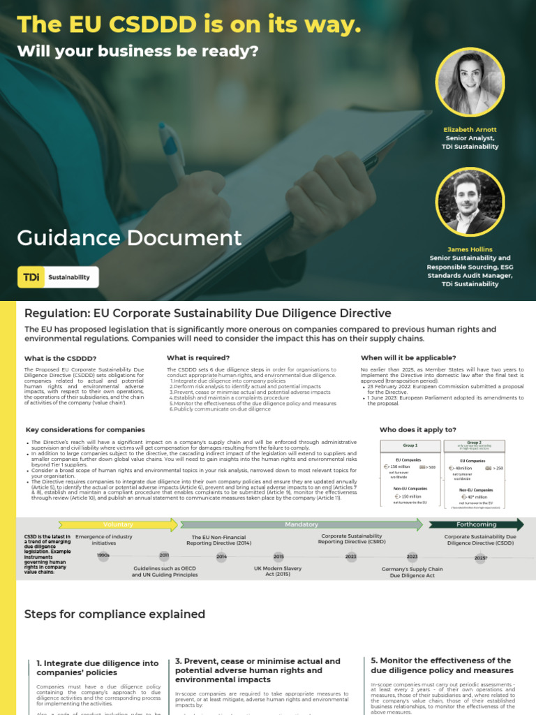 EU CSDDD Compliance Guide | PDF | Due Diligence | Sustainability