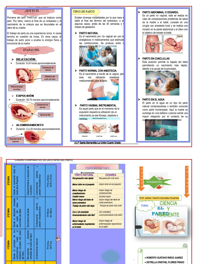 Triptico El Parto | PDF | Parto | El embarazo
