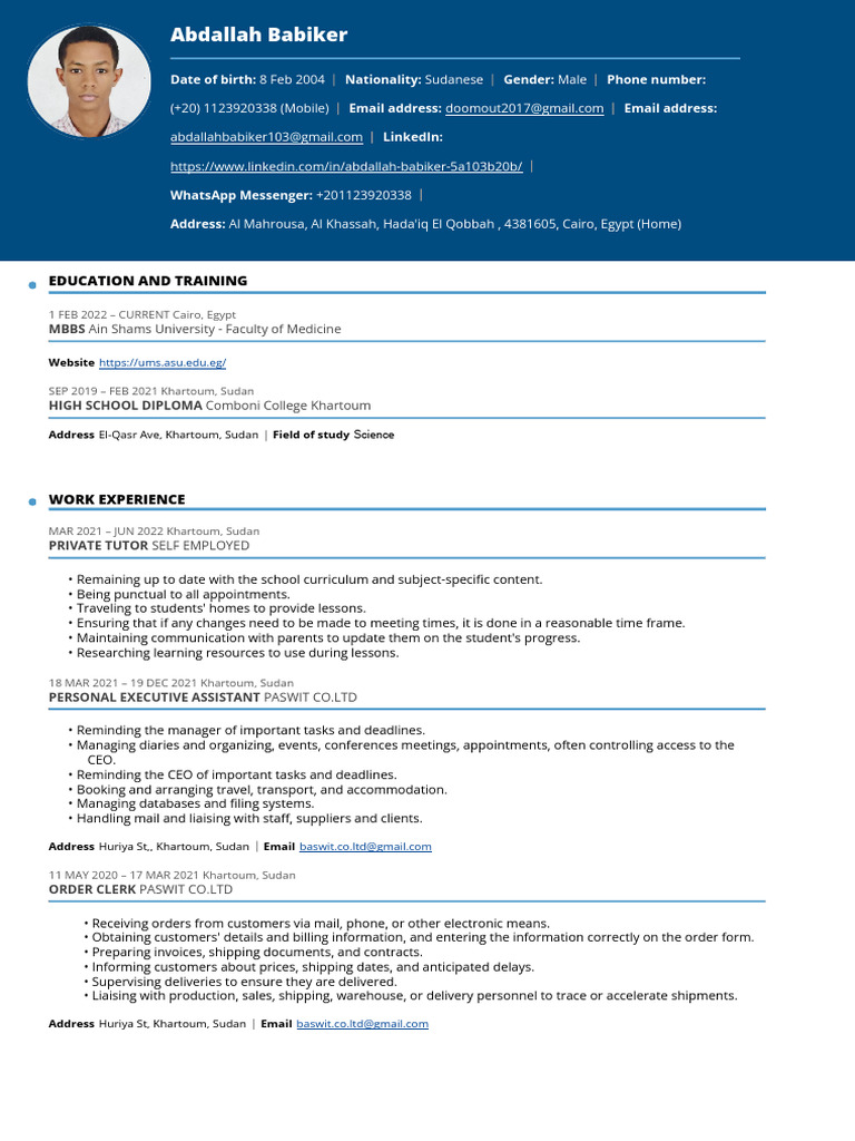 My CV | PDF | Sudan | Computing
