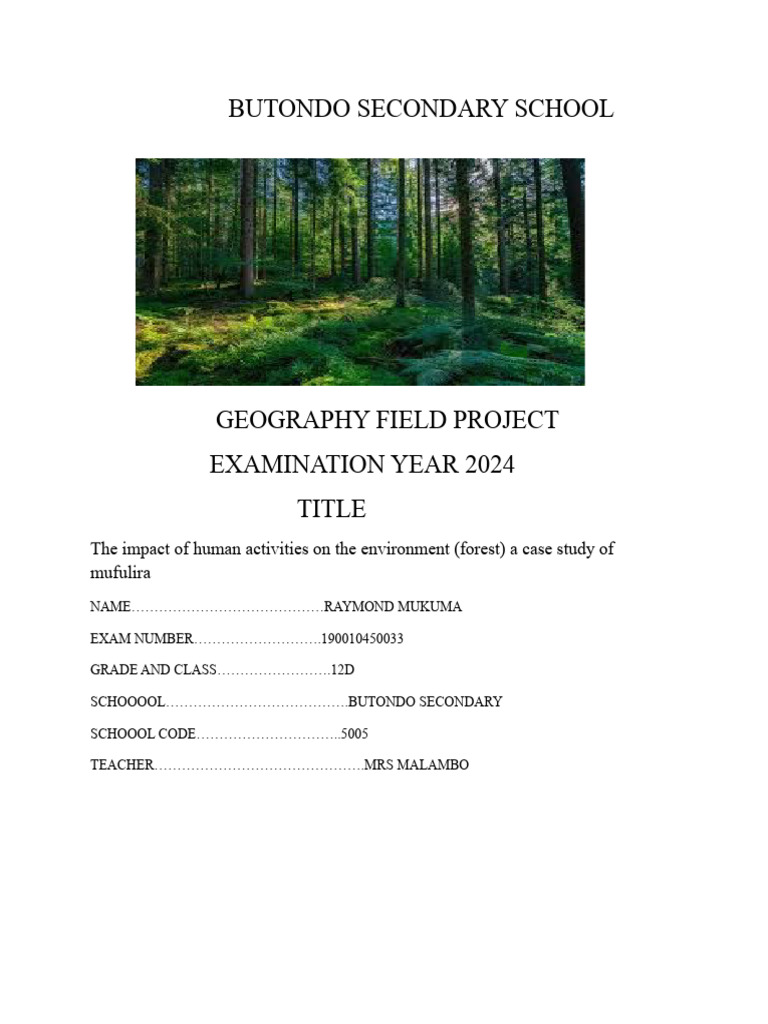 Document | PDF | Logging | Deforestation