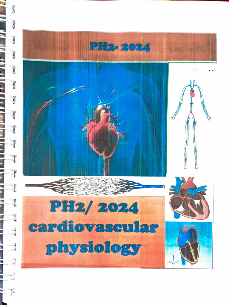 Physio CVS | PDF