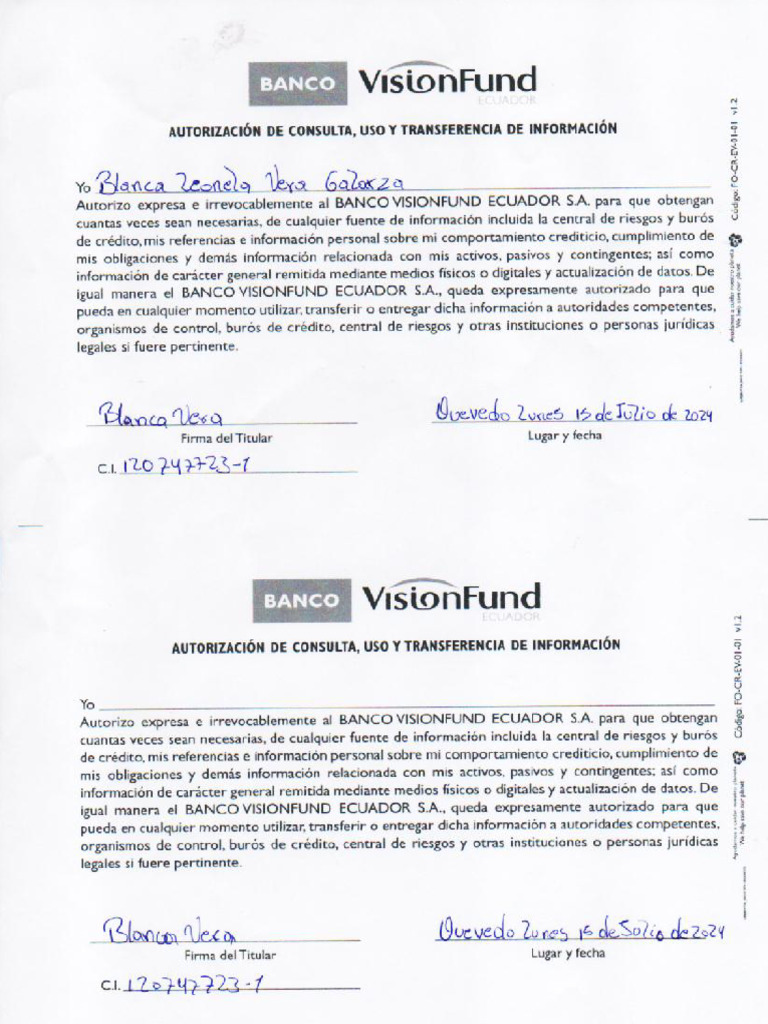 Banco Vision | PDF