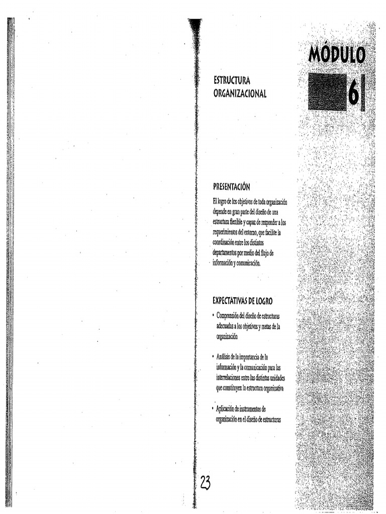 Churi. Estructura Organizacional. | PDF
