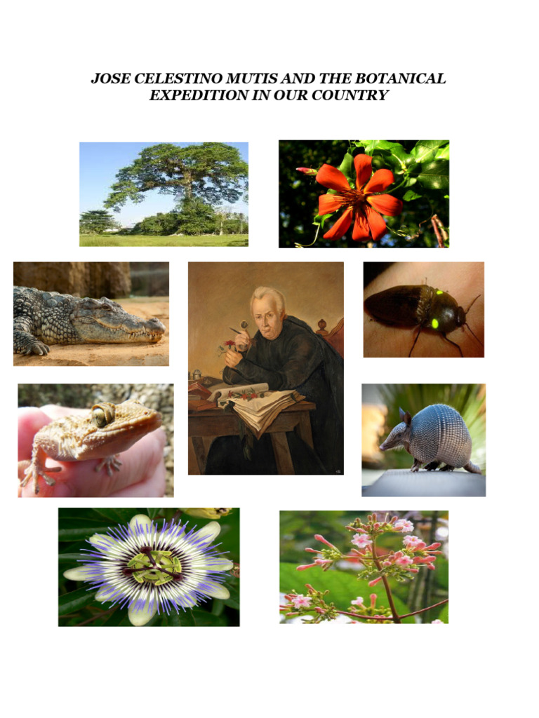 Botanical Expedition Chapter One | PDF