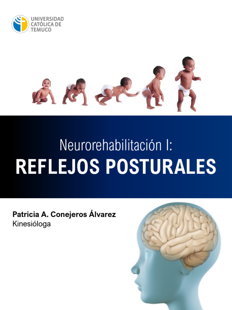 Reflejos Posturales | PDF | Pie | Sistema musculoesquelético