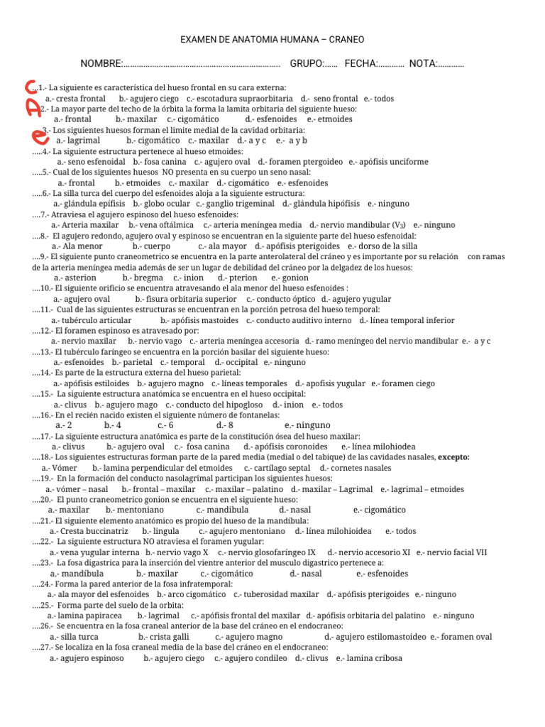 Examen Simulacro Neuro | PDF | Cerebro | Anatomía humana