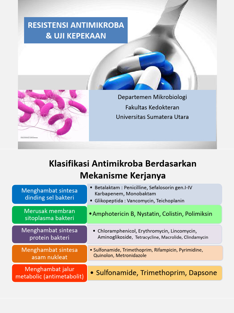 Uji Kepekaan dan Resistensi Antimikroba | PDF | Sains & Matematika