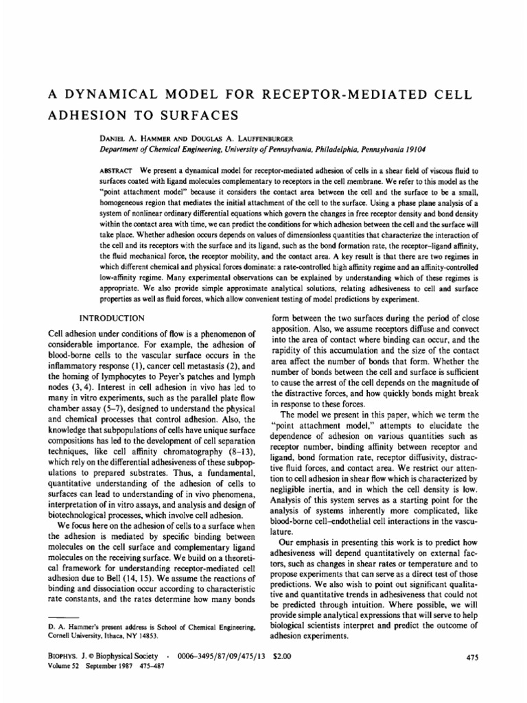 A Dynamical Model For Receptor-Mediated Cell | PDF | Ligand ...