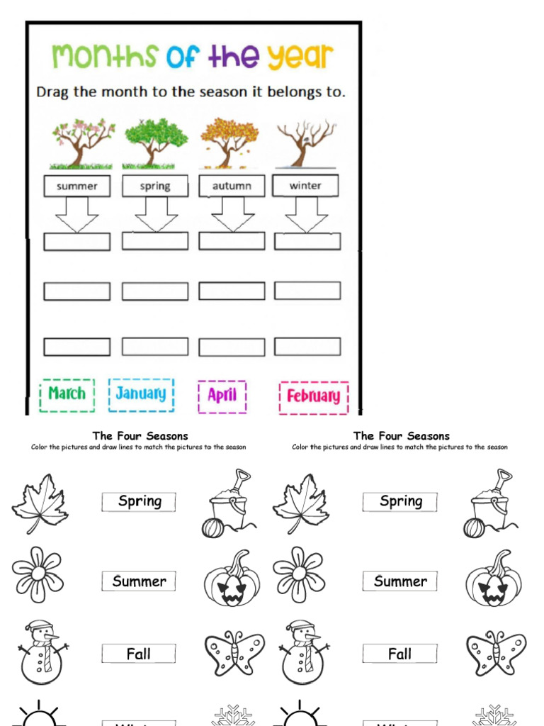 Activity - Seasons of The Year | PDF