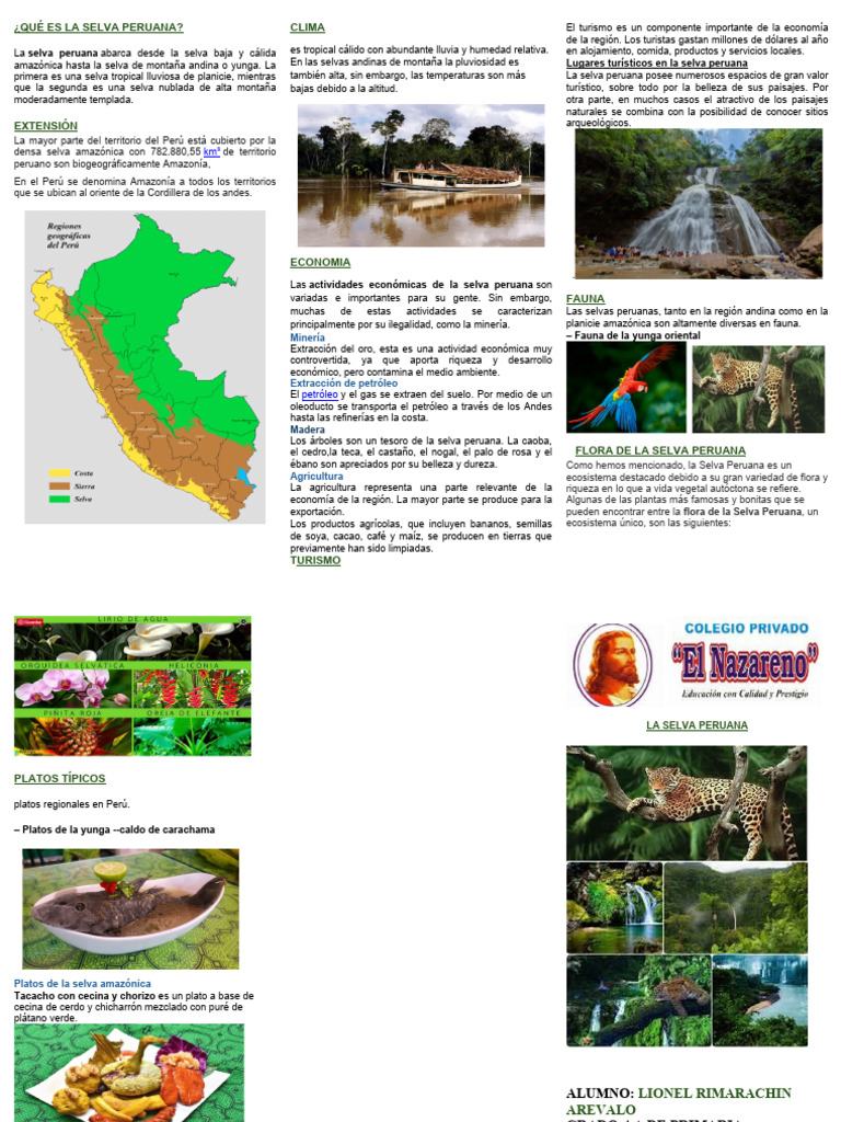 Selva Peruana: Ecosistema y Economía | PDF | Perú | Ciencias de la Tierra