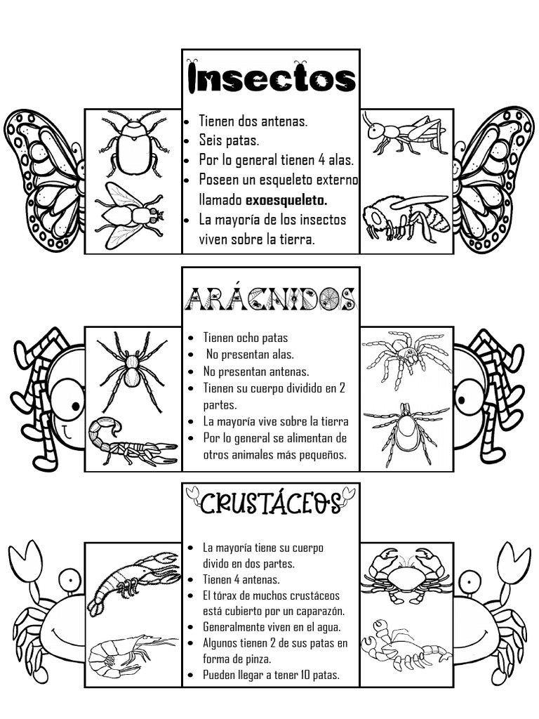 CLASIFICACIÓN INVERTEBRADOS | PDF