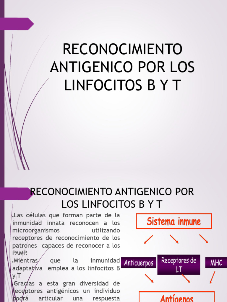 Inmuno Cap 5 Reconocimiento Antigenico 2024 | PDF | Antígeno | Célula T
