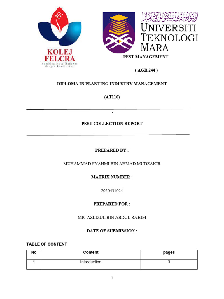 Pest Collection Report | PDF | Insects | Beetle