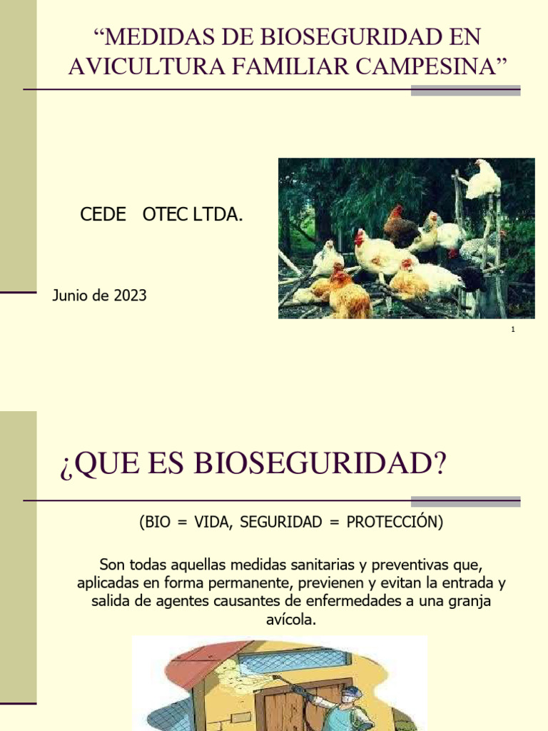 MD BIOSEGURIDAD AVES | PDF | Influenza aviar | Influenza