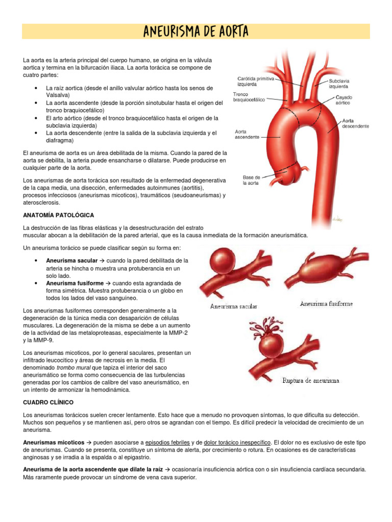 Aneurisma de Aorta | PDF | Aorta | Medicina CLINICA